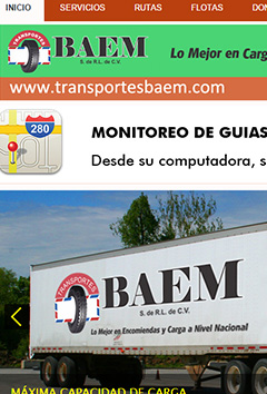 :: LUIS PINEDA WEB - Diseño Web Profesional, Web Hosting, Dominios ...